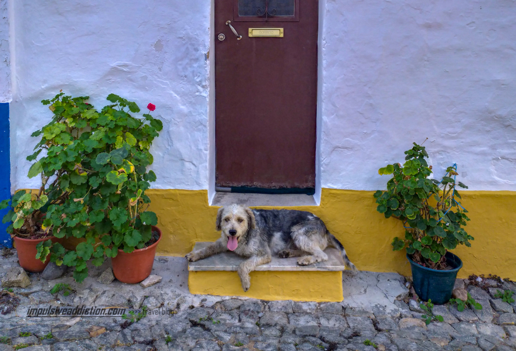 Vila de Redondo (Alentejo) | O que visitar, ver e fazer?