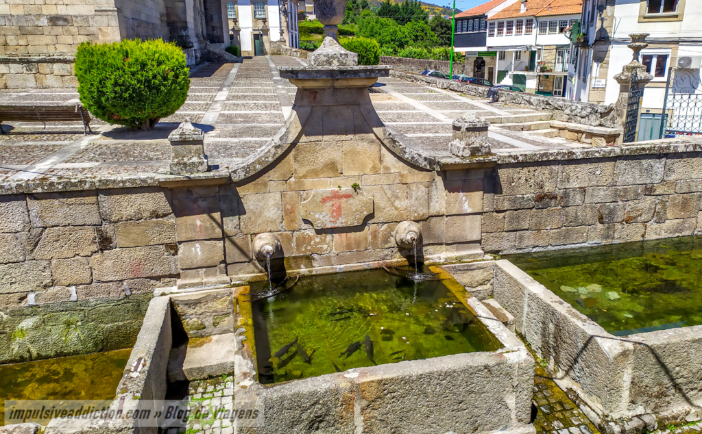 Tarouca: o que visitar, ver e fazer | Roteiro de 1 ou 2 dias
