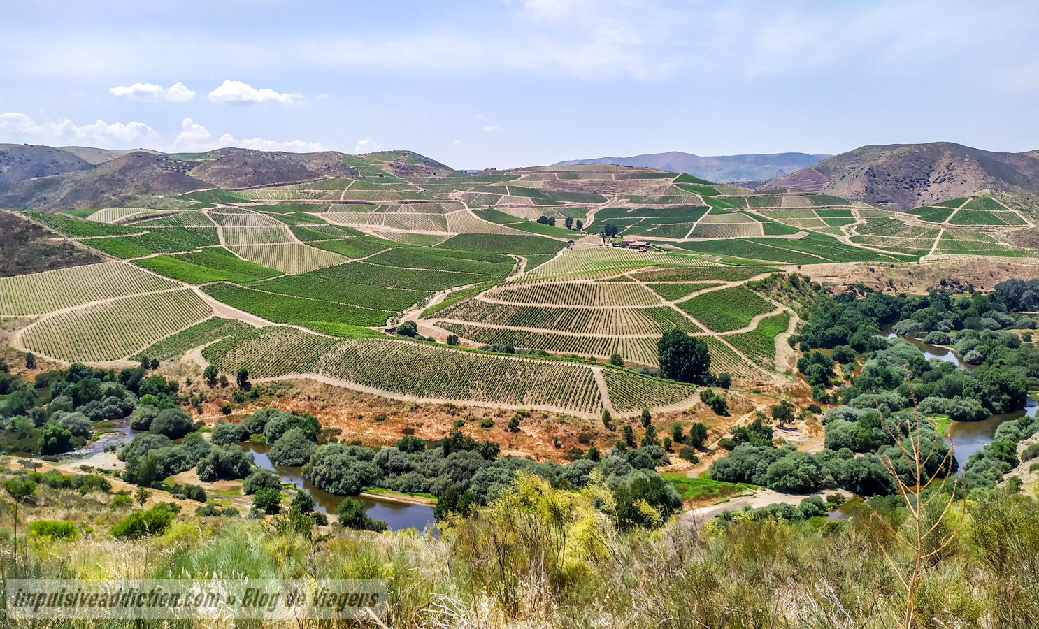 Enoturismo: 19 Melhores Quintas do Douro a visitar em 2024