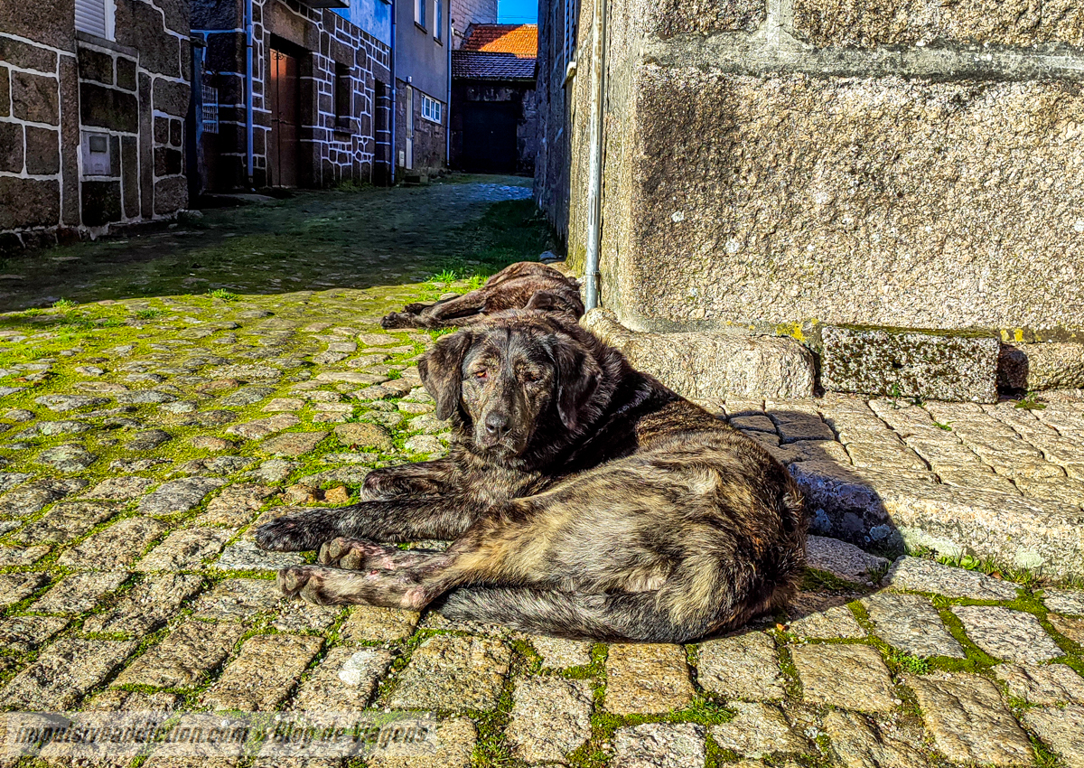 Melgaço e Castro Laboreiro | O que visitar, ver e fazer?