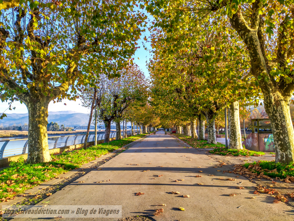 Best things to do in Caminha | Portugal
