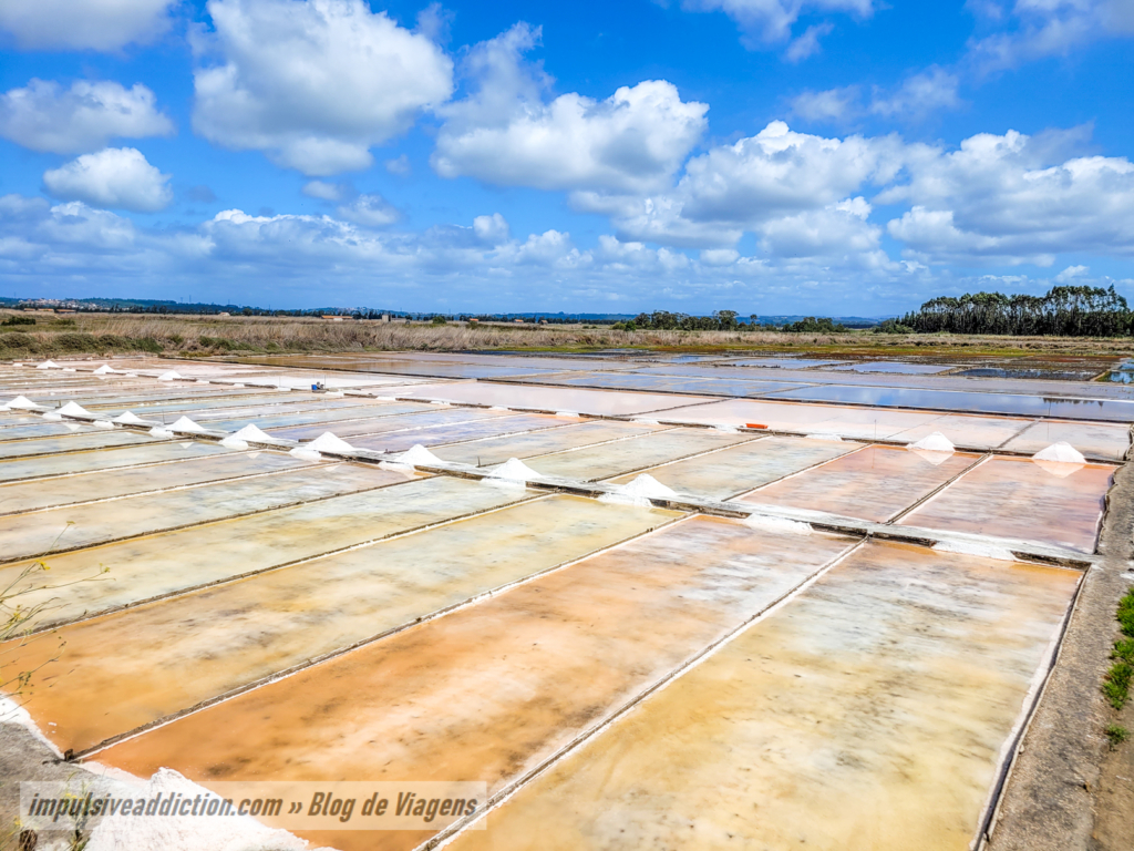 Rota das Salinas da Figueira da Foz e Museu do Sal