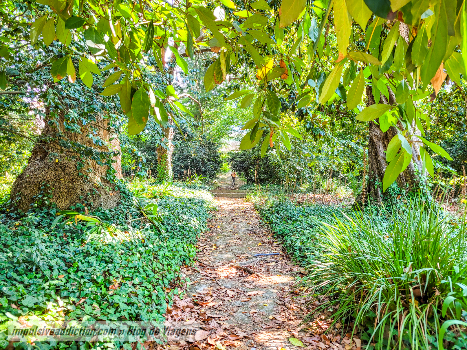 Best 30 Parks and Gardens in Porto | Portugal