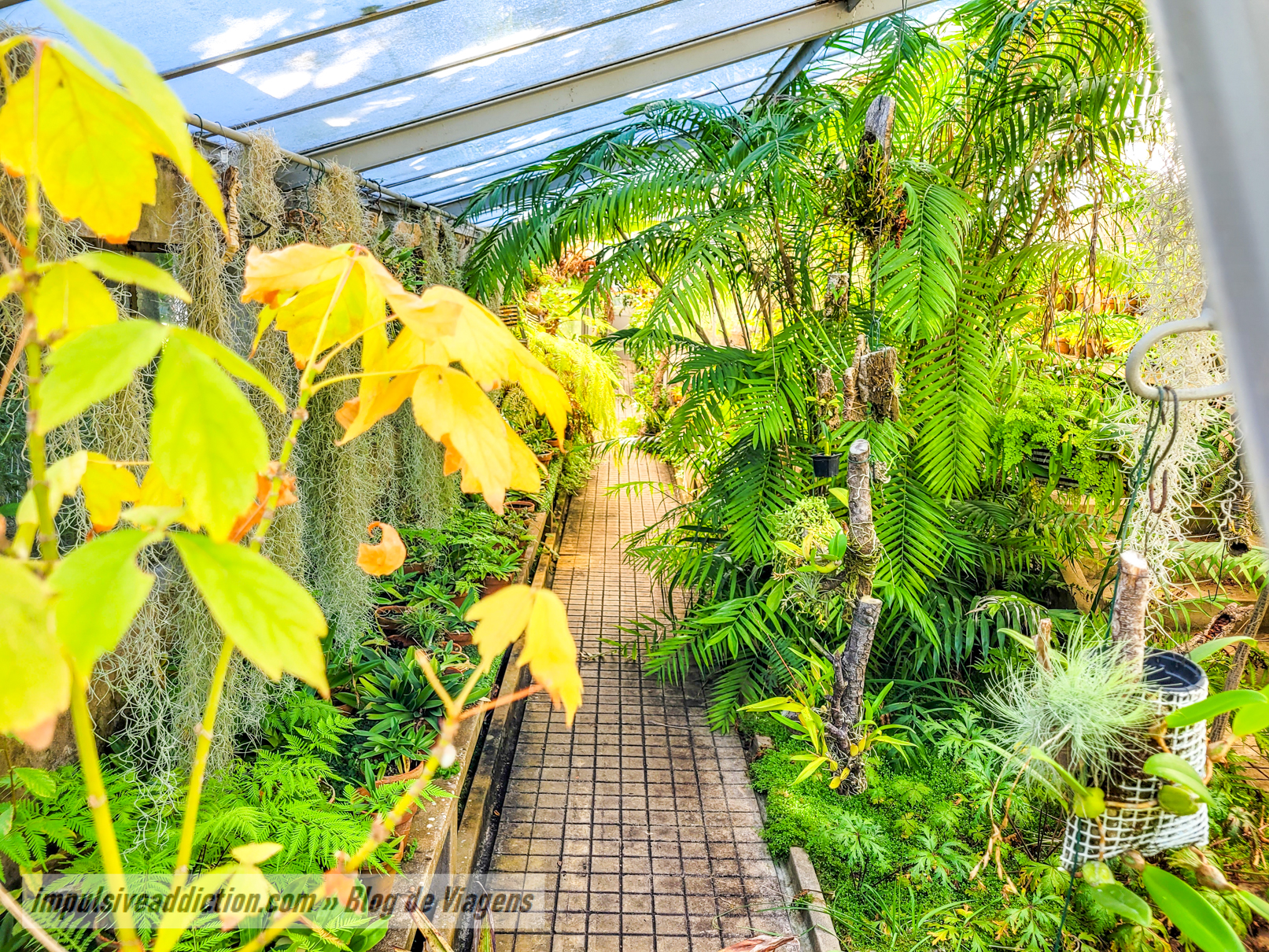 Best 30 Parks and Gardens in Porto | Portugal