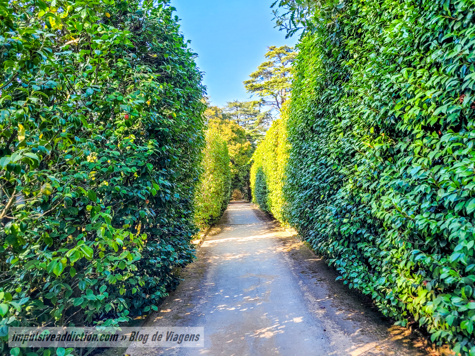 Best 30 Parks and Gardens in Porto | Portugal