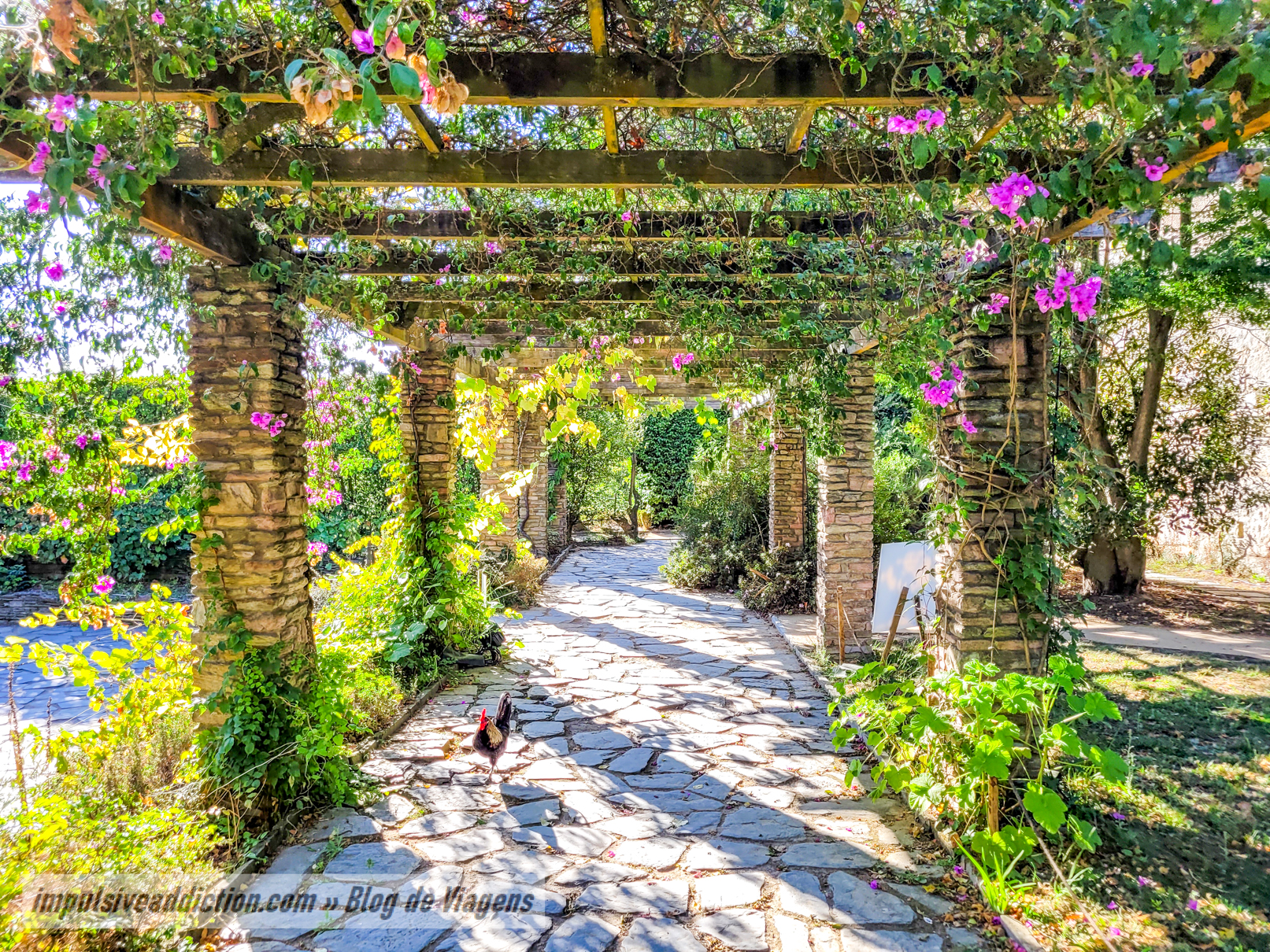 Best 30 Parks and Gardens in Porto | Portugal