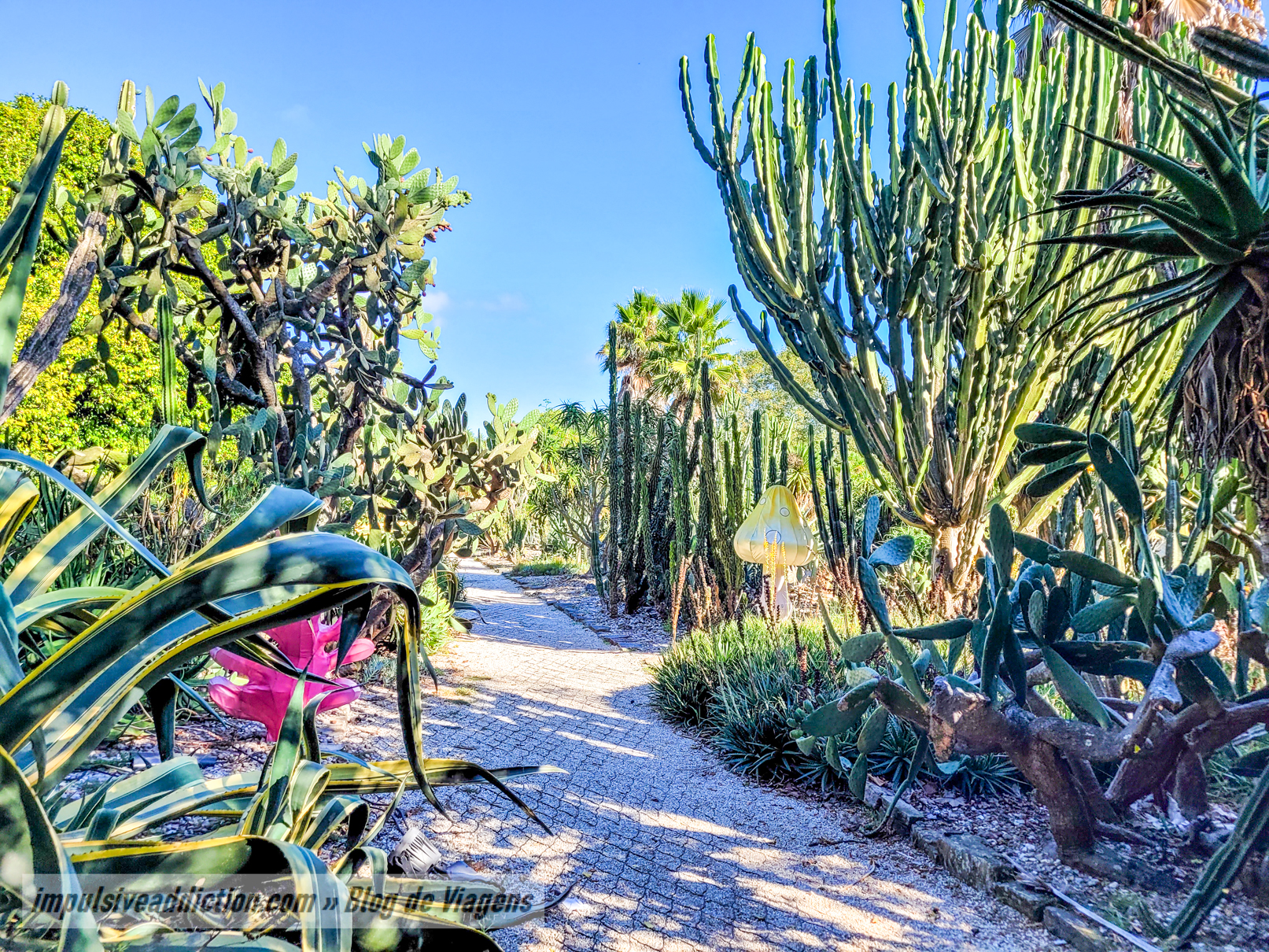 Best 30 Parks and Gardens in Porto | Portugal