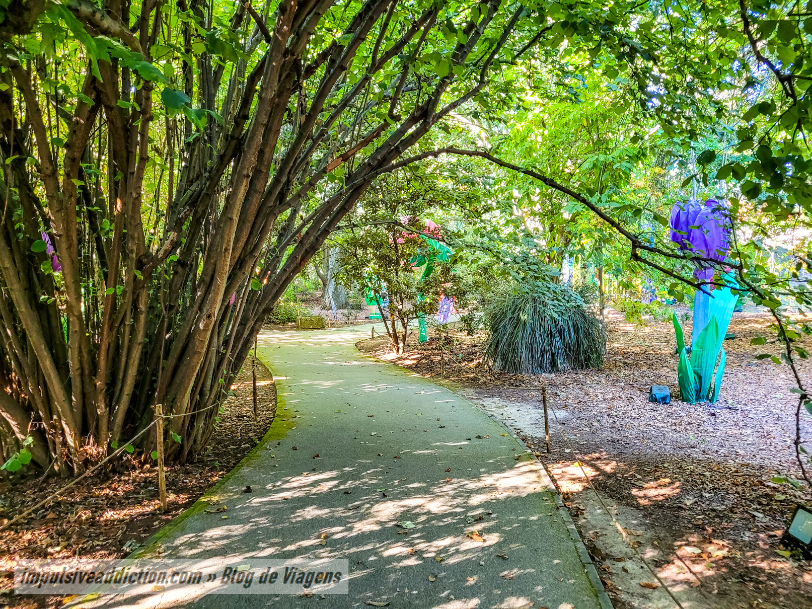 Best 30 Parks and Gardens in Porto | Portugal