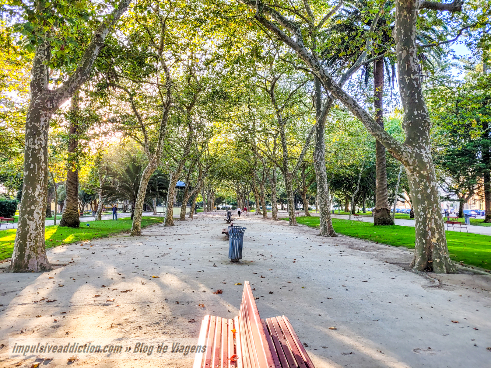 Best 30 Parks and Gardens in Porto | Portugal