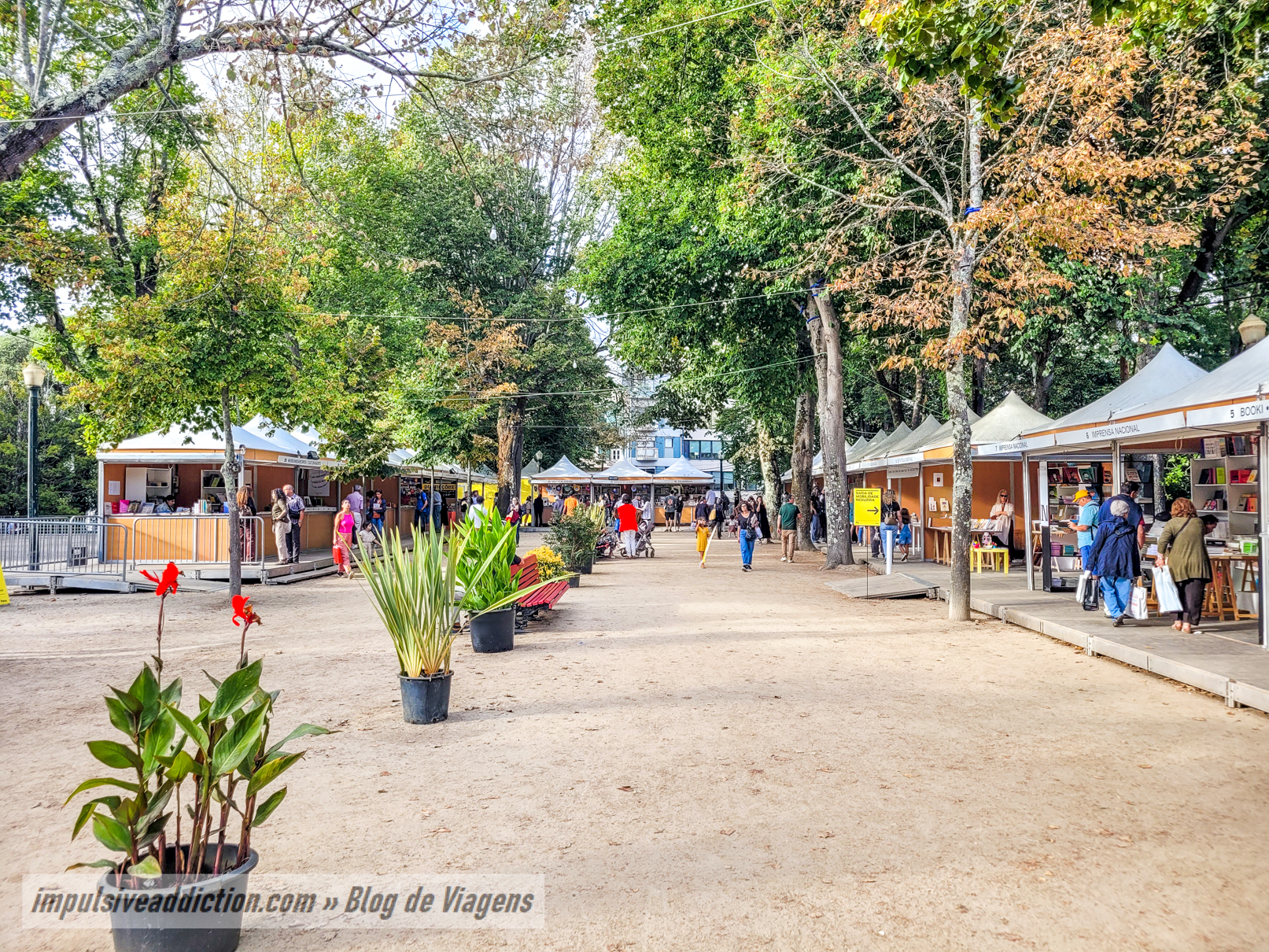 Best 30 Parks and Gardens in Porto | Portugal