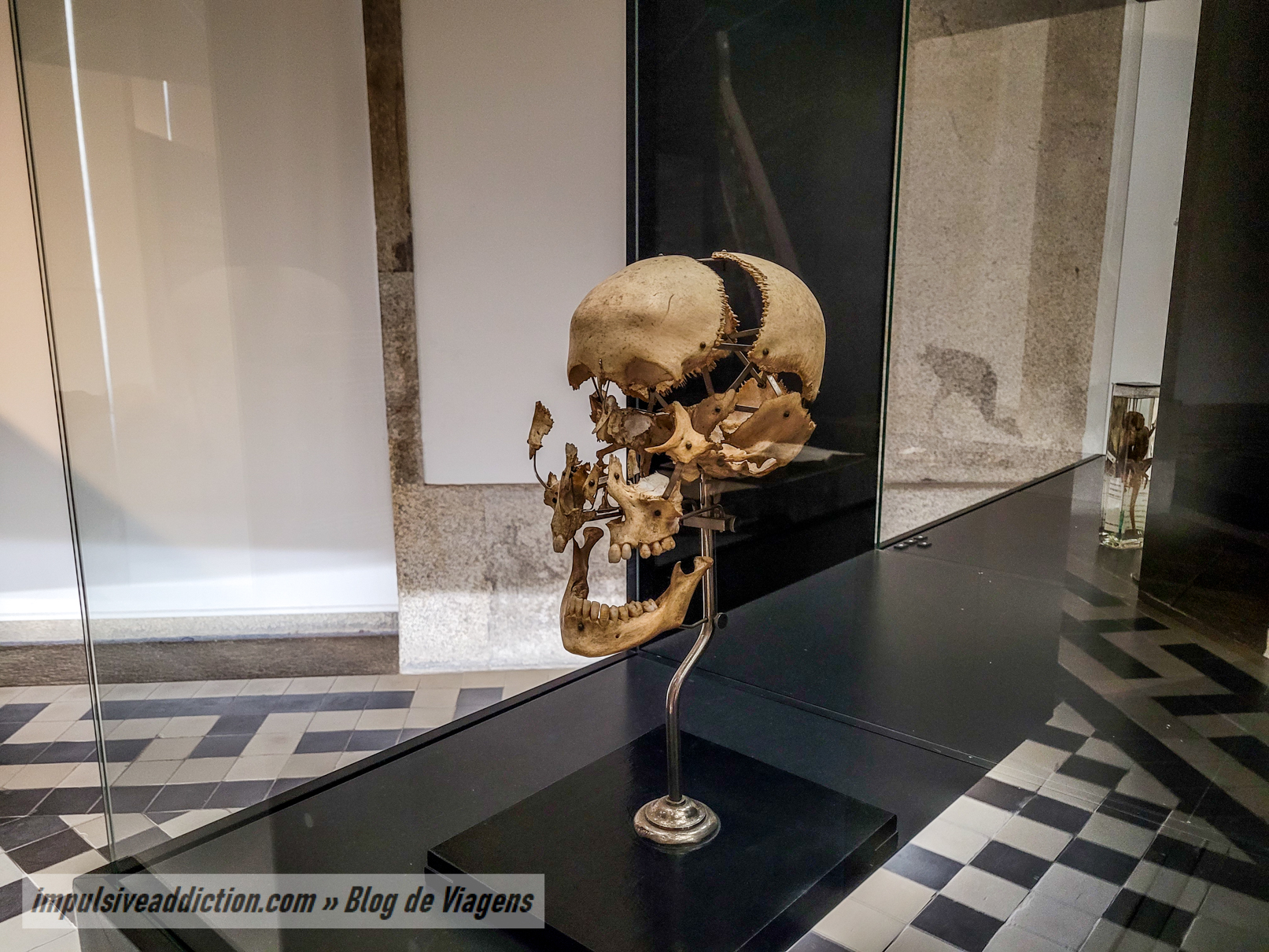 Best 30 Museums in Porto | Portugal