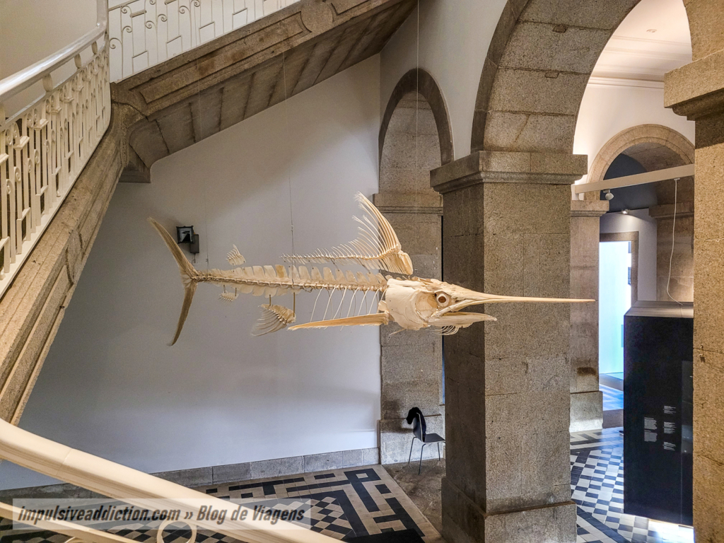 33 Melhores Museus do Porto e Gaia