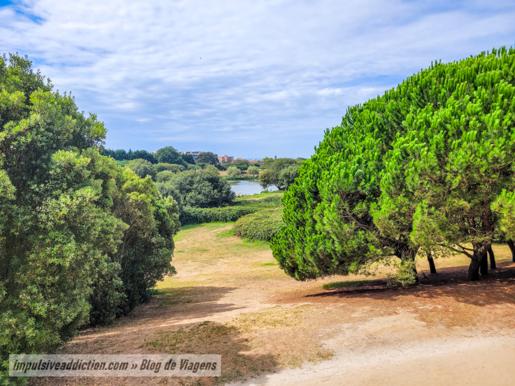 33 Melhores Parques e Jardins no Porto e Gaia