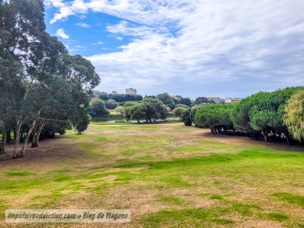 33 Melhores Parques e Jardins no Porto e Gaia