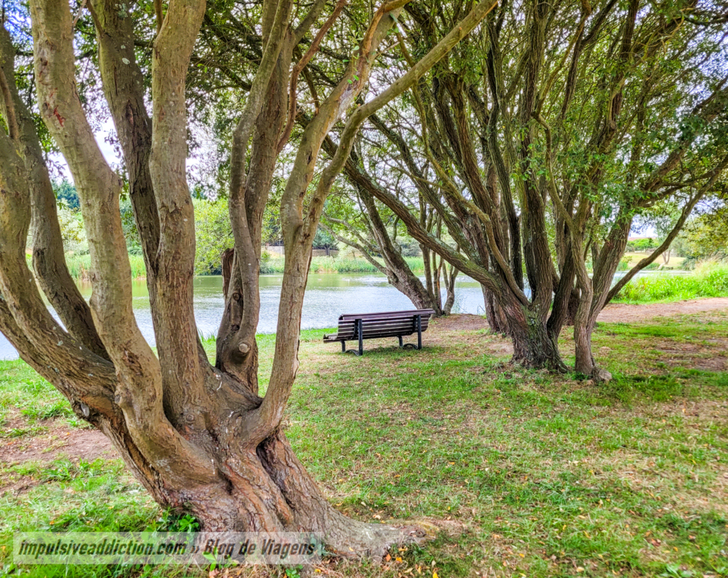 33 Melhores Parques e Jardins no Porto e Gaia
