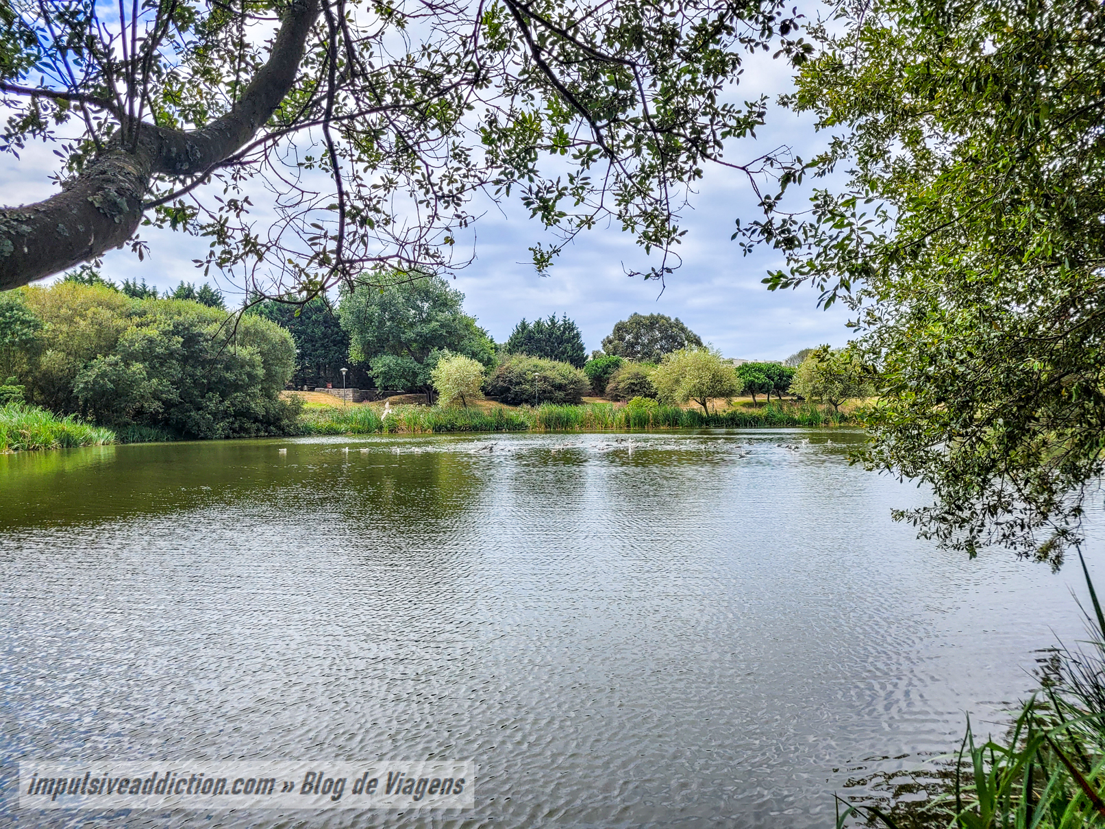 Best 30 Parks and Gardens in Porto | Portugal