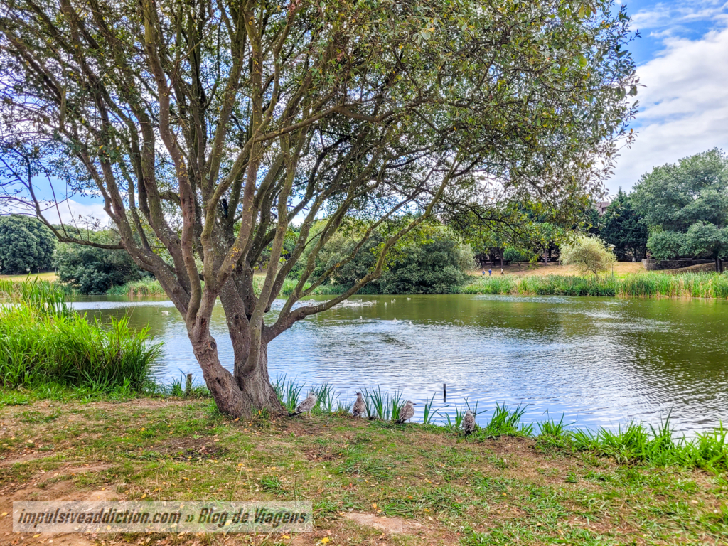 33 Melhores Parques e Jardins no Porto e Gaia
