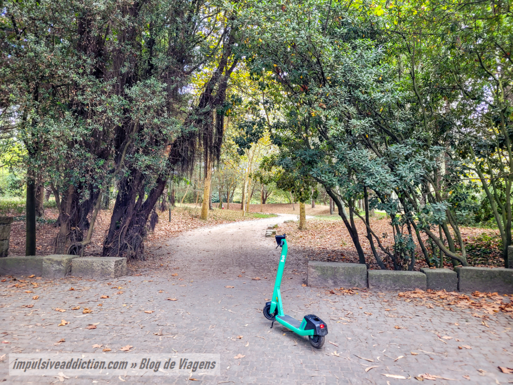 33 Melhores Parques e Jardins no Porto e Gaia