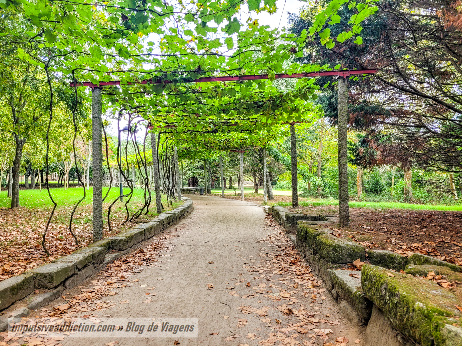 Best 30 Parks and Gardens in Porto | Portugal