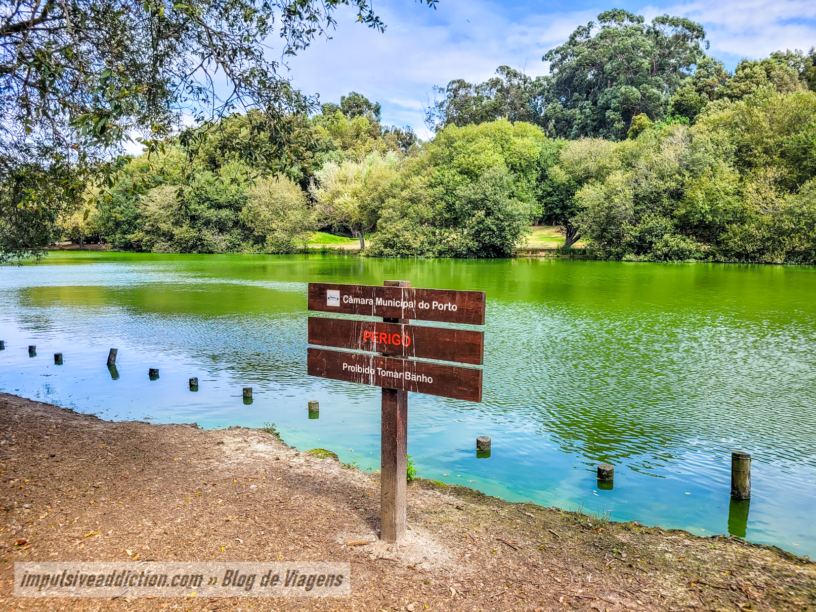 Best 30 Parks and Gardens in Porto | Portugal