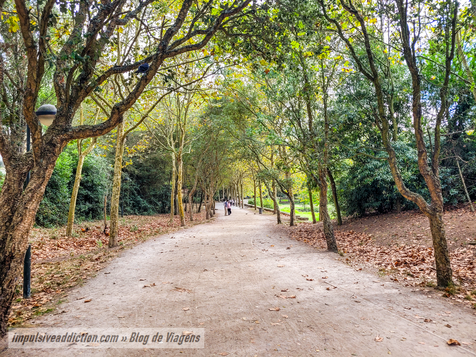 Best 30 Parks and Gardens in Porto | Portugal
