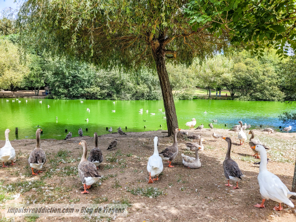 33 Melhores Parques e Jardins no Porto e Gaia
