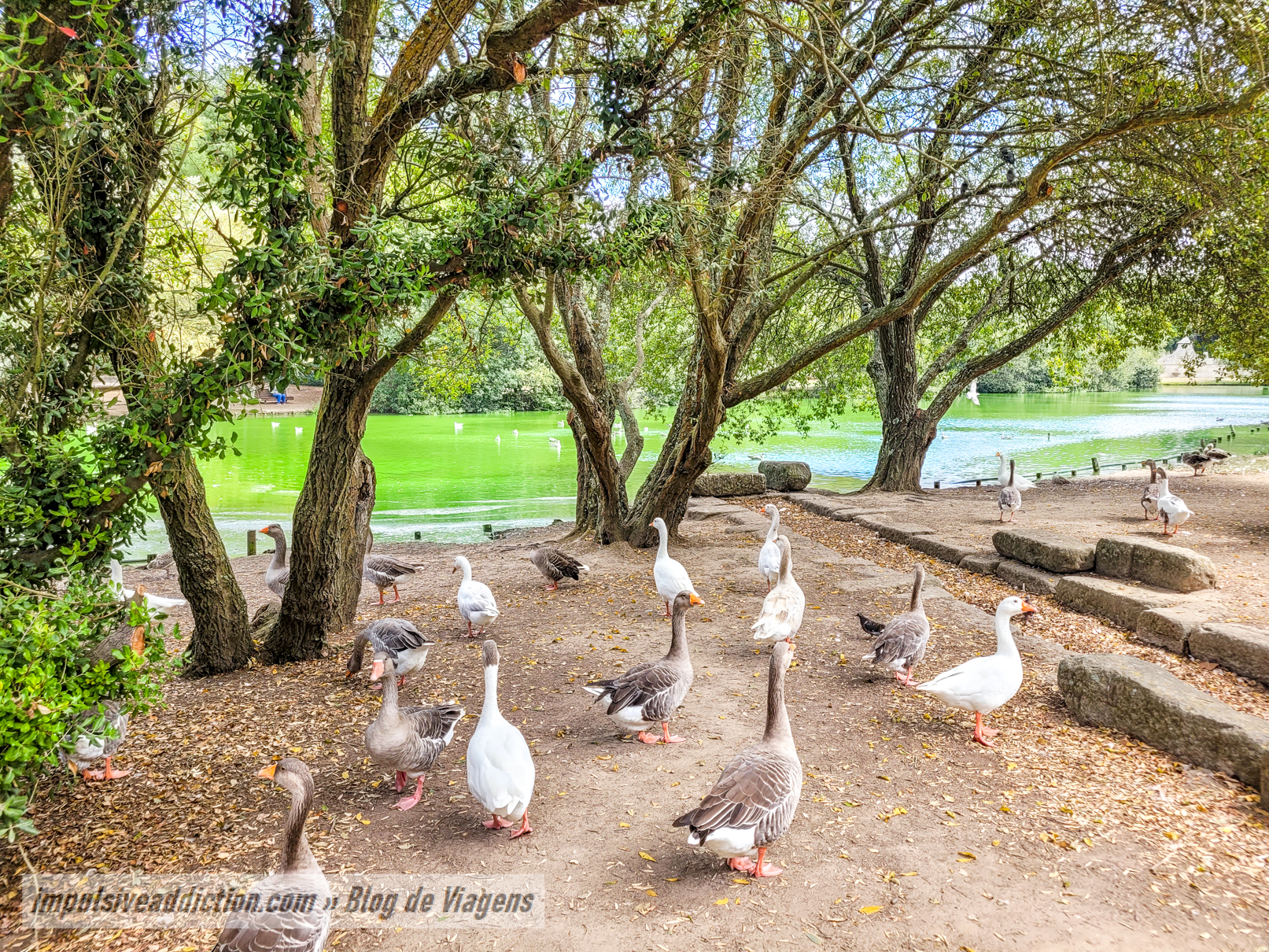 Best 30 Parks and Gardens in Porto | Portugal