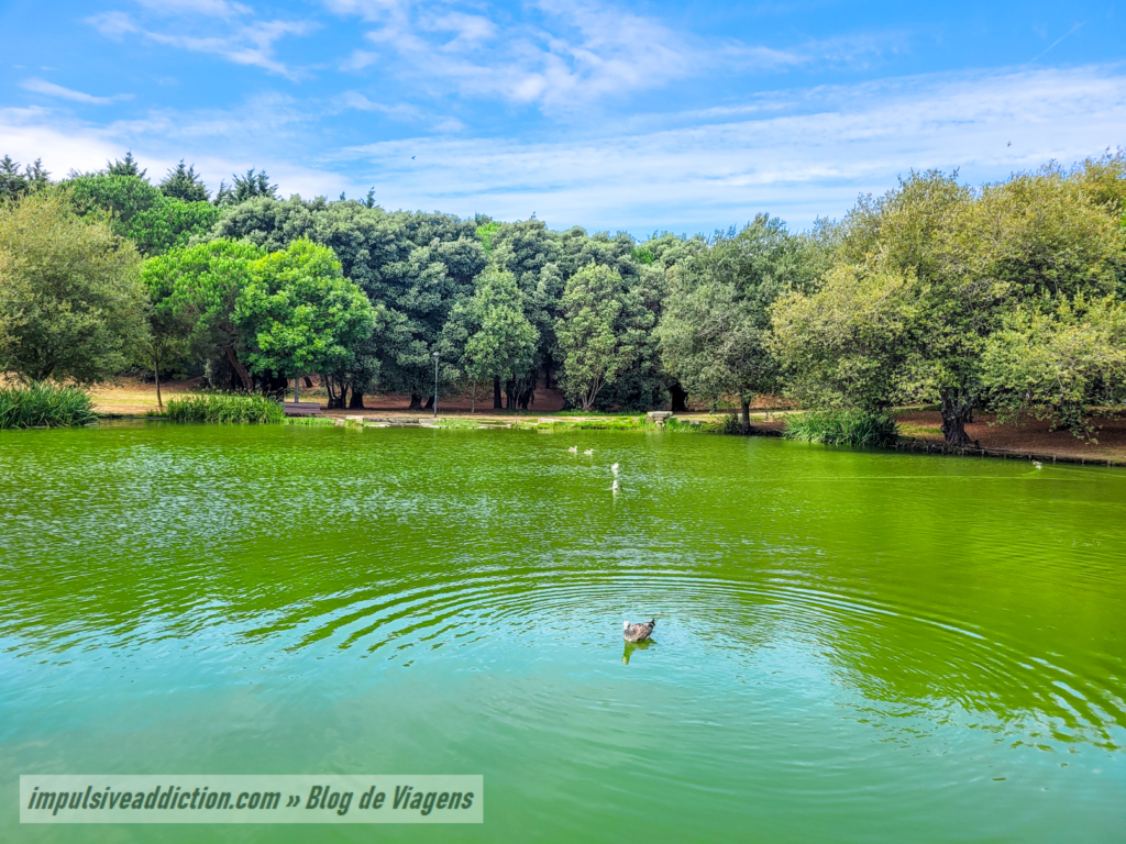 33 Melhores Parques e Jardins no Porto e Gaia