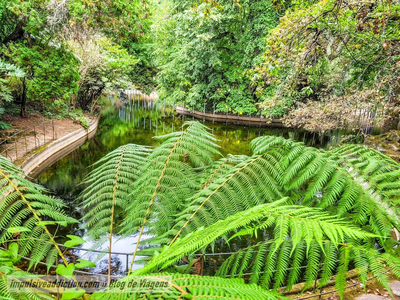 Best 30 Parks and Gardens in Porto | Portugal