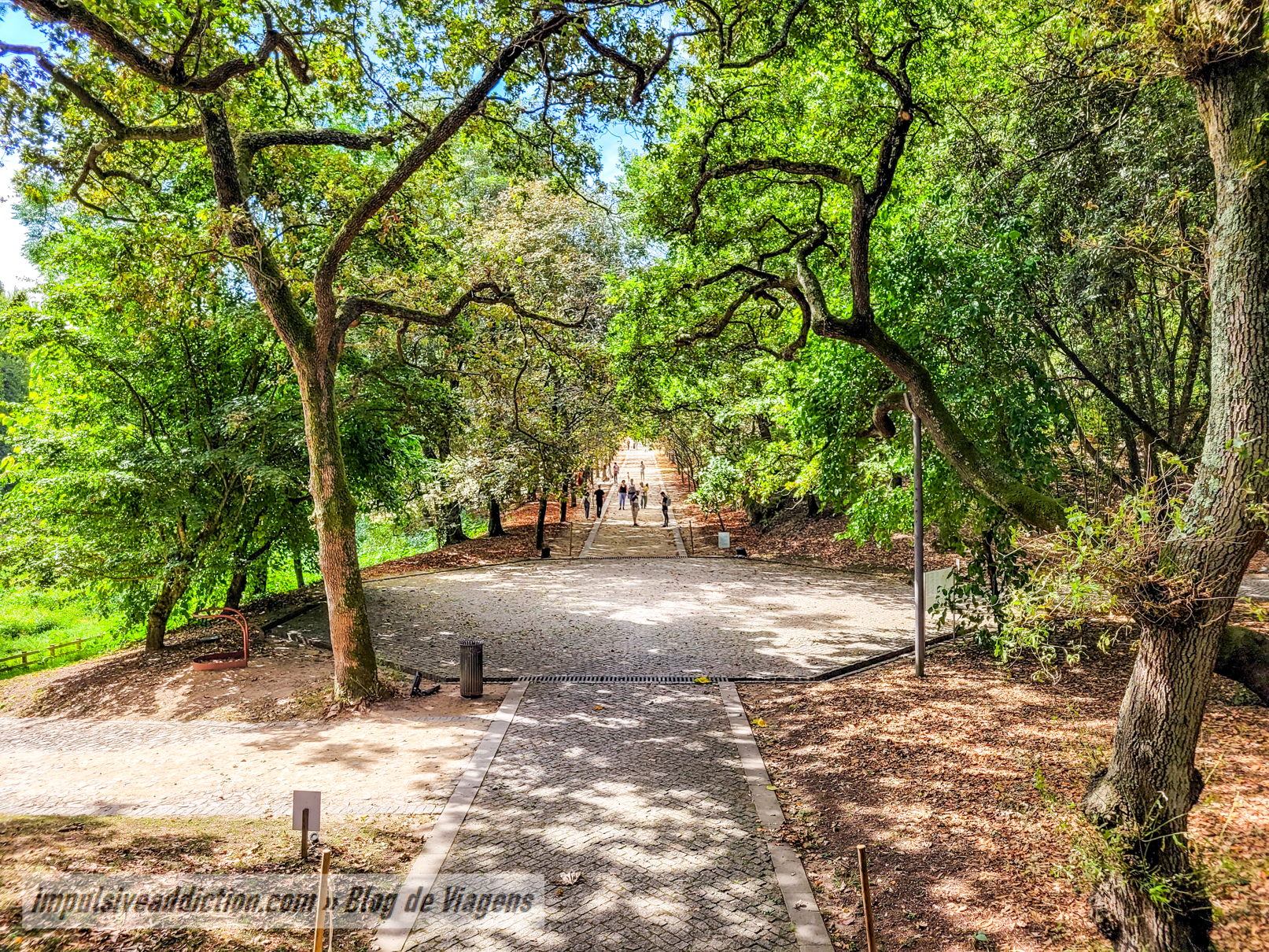 Best 30 Parks and Gardens in Porto | Portugal