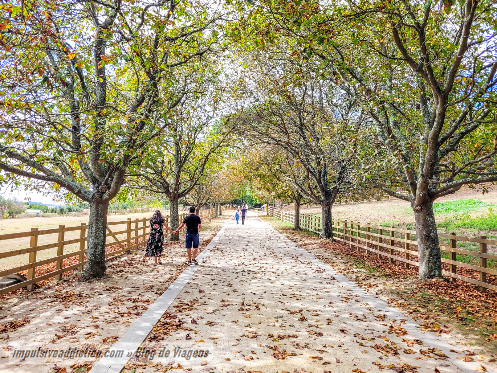 Best 30 Parks and Gardens in Porto | Portugal