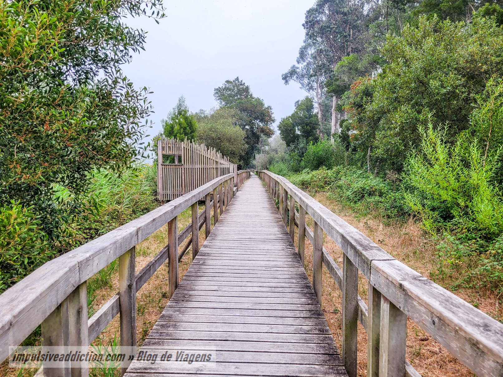 Best things to do in Mira beach | Portugal