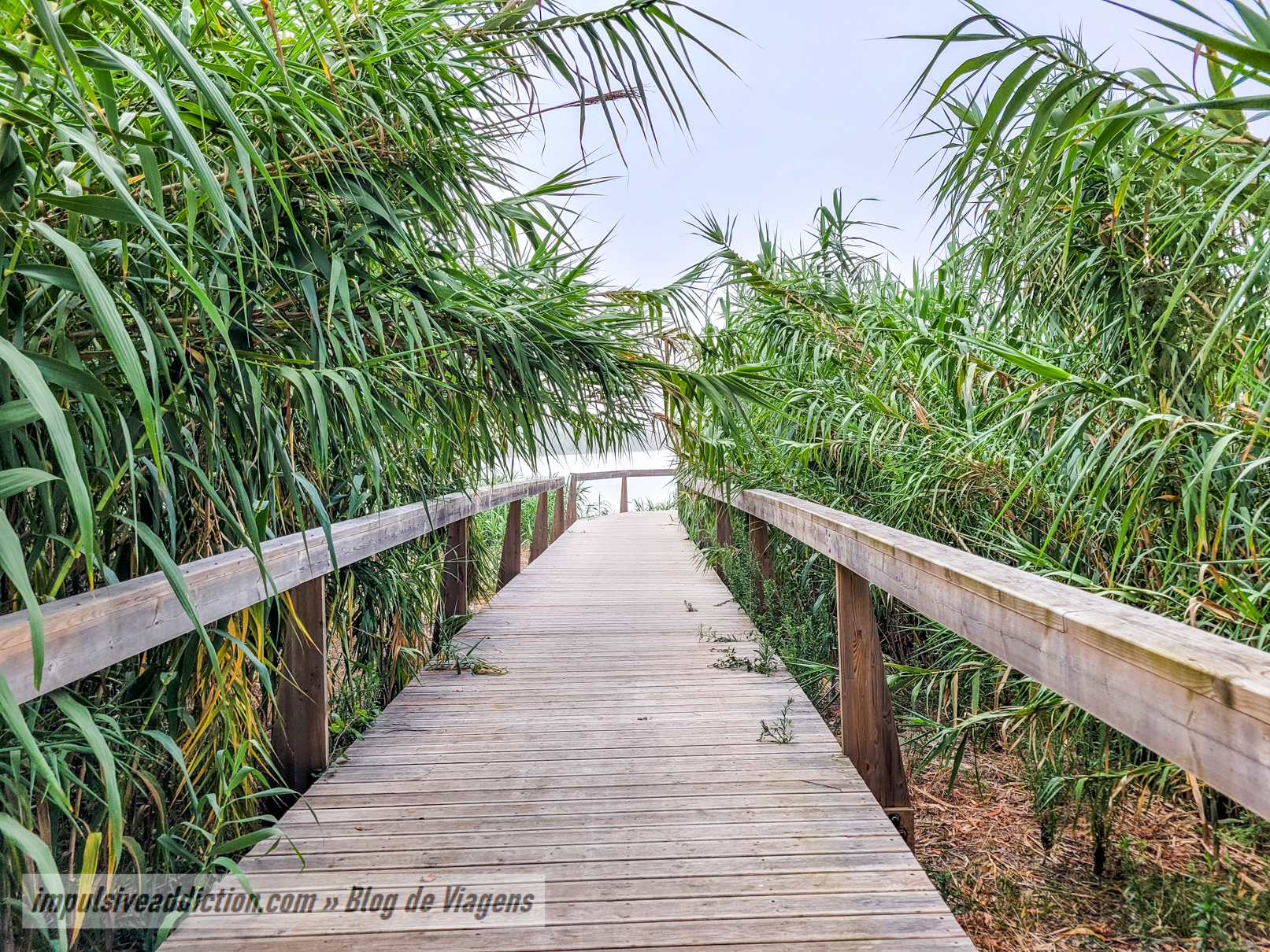 Best things to do in Mira beach | Portugal