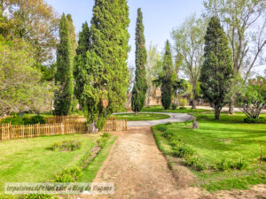 Torres Novas | O que visitar, ver e fazer?