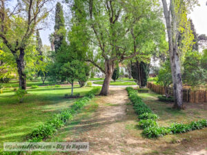 Torres Novas | O que visitar, ver e fazer?
