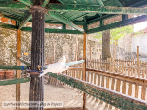 Torres Novas | O que visitar, ver e fazer?